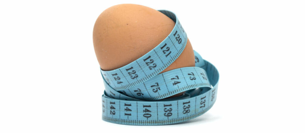 How To Measure An Egg – A Gourmet Food Blog
