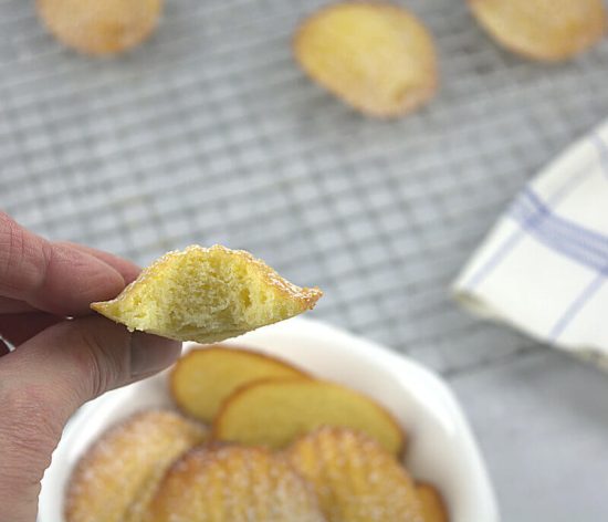 Classic Madeleines – A Gourmet Food Blog