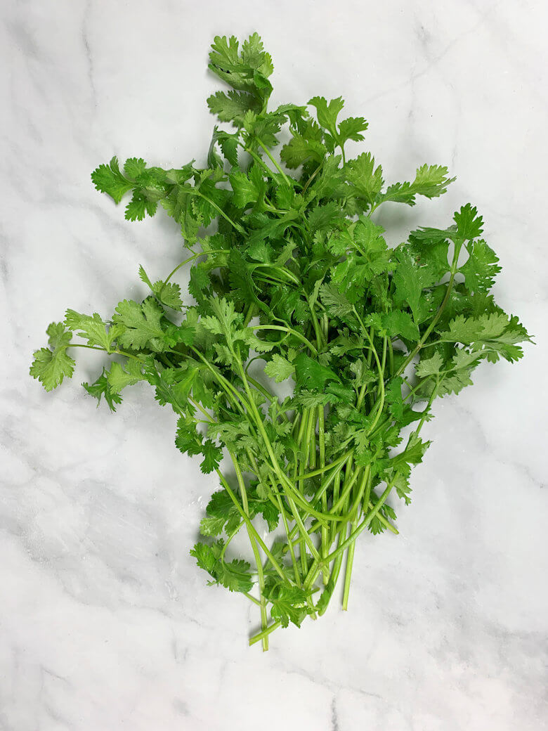 How To Keep Fresh Herbs Fresh For Weeks – A Gourmet Food Blog
