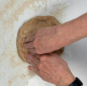 Whole Wheat Pizza Dough – A Gourmet Food Blog
