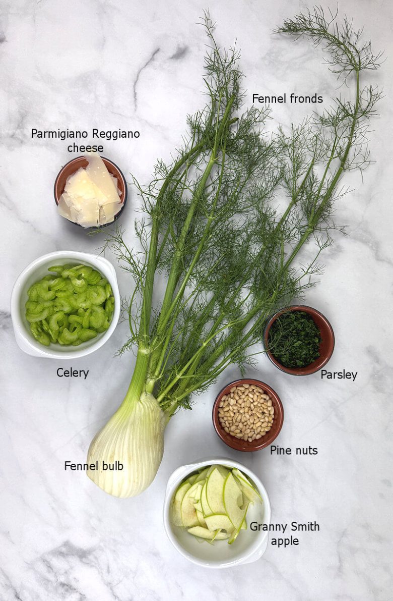 Fennel and Celery Salad for Two – A Gourmet Food Blog