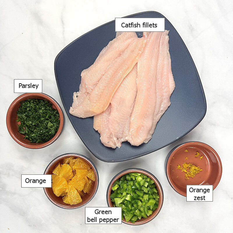 Grilled Catfish with Orange Pepper Salsa – A Gourmet Food Blog